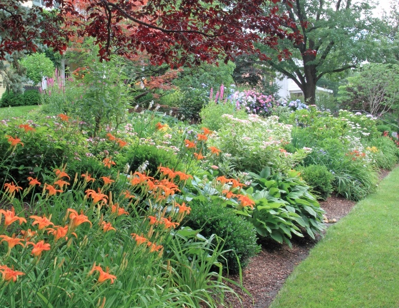 Landscaping Your Yard: 7 Tips You Need To Know