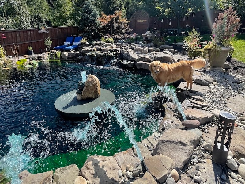 How To Enhance Your Outdoor Living Space With A High-End Water Feature